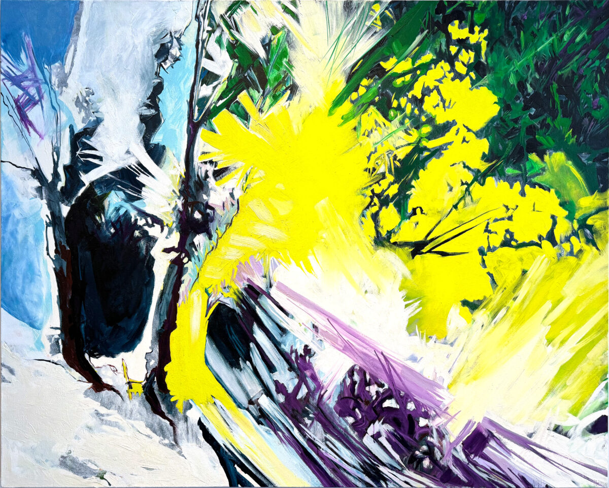 Ann Morgan // Visual Artist // Denver, CO